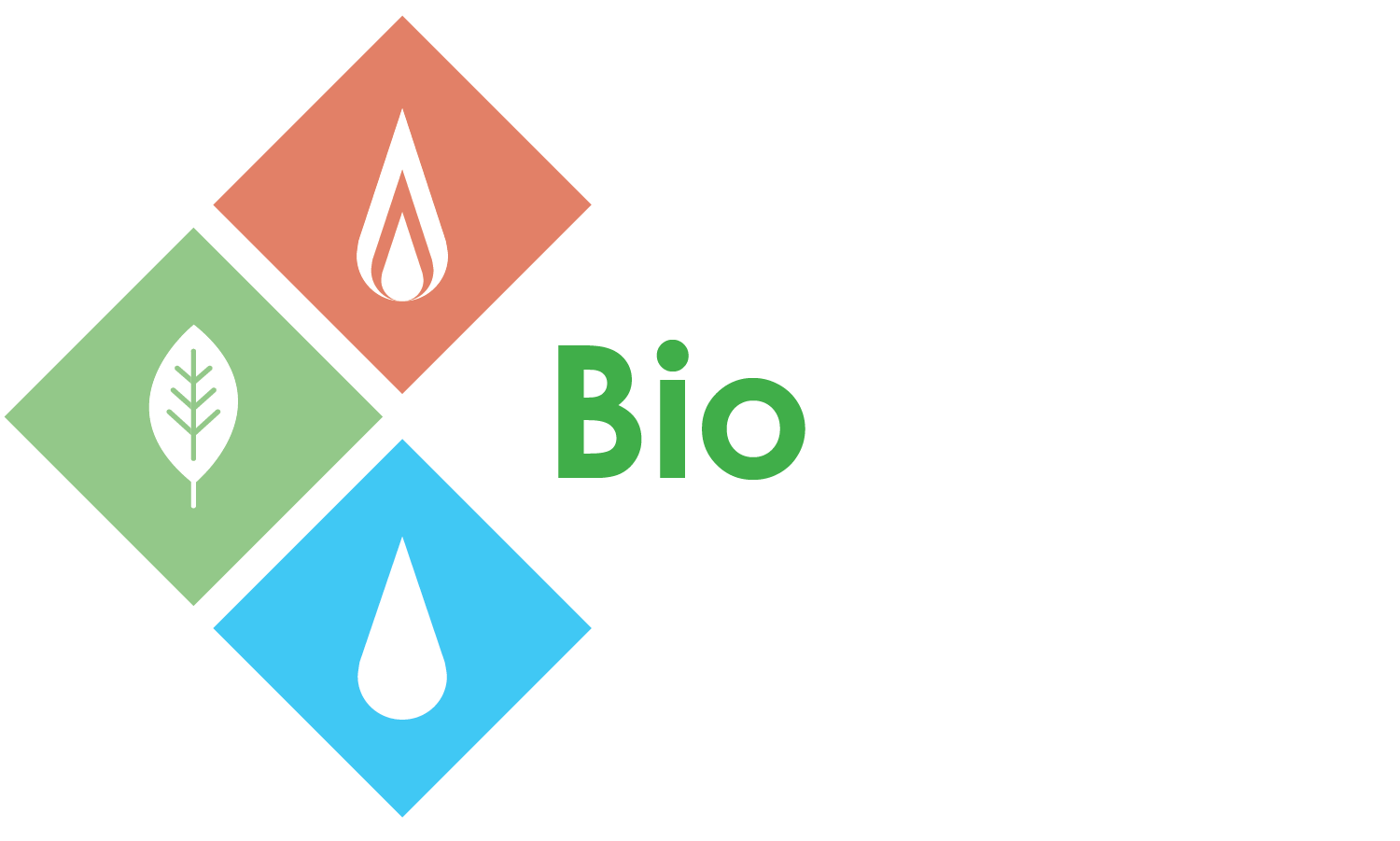 BioCarbN | Converting Biomass into Marketable Energy
